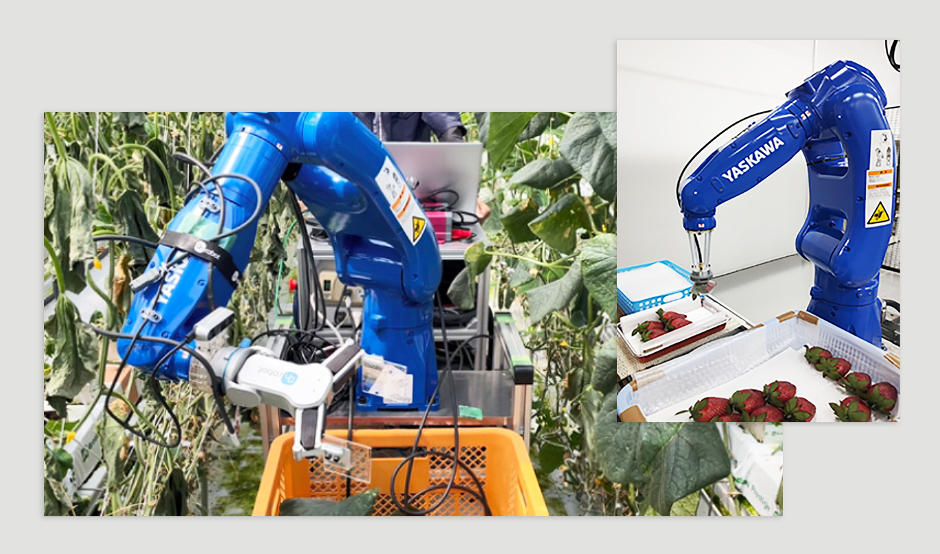 Robot Technology Plays Key Role in Smart Agriculture | AEI