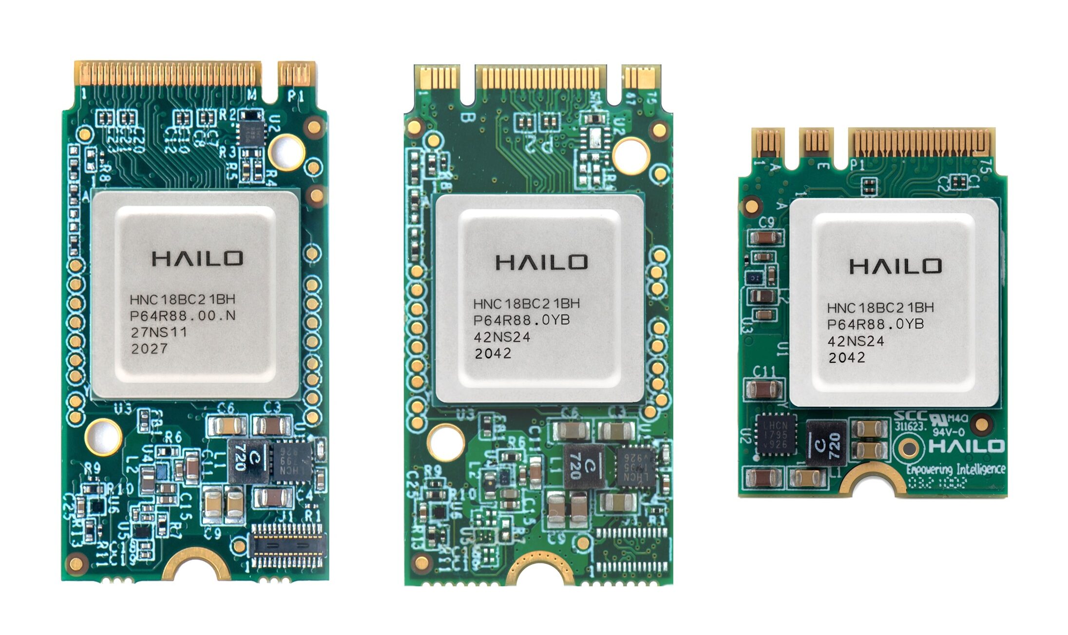 Hailo, NXP Partner in AI Solution for Vehicle Chips | AEI